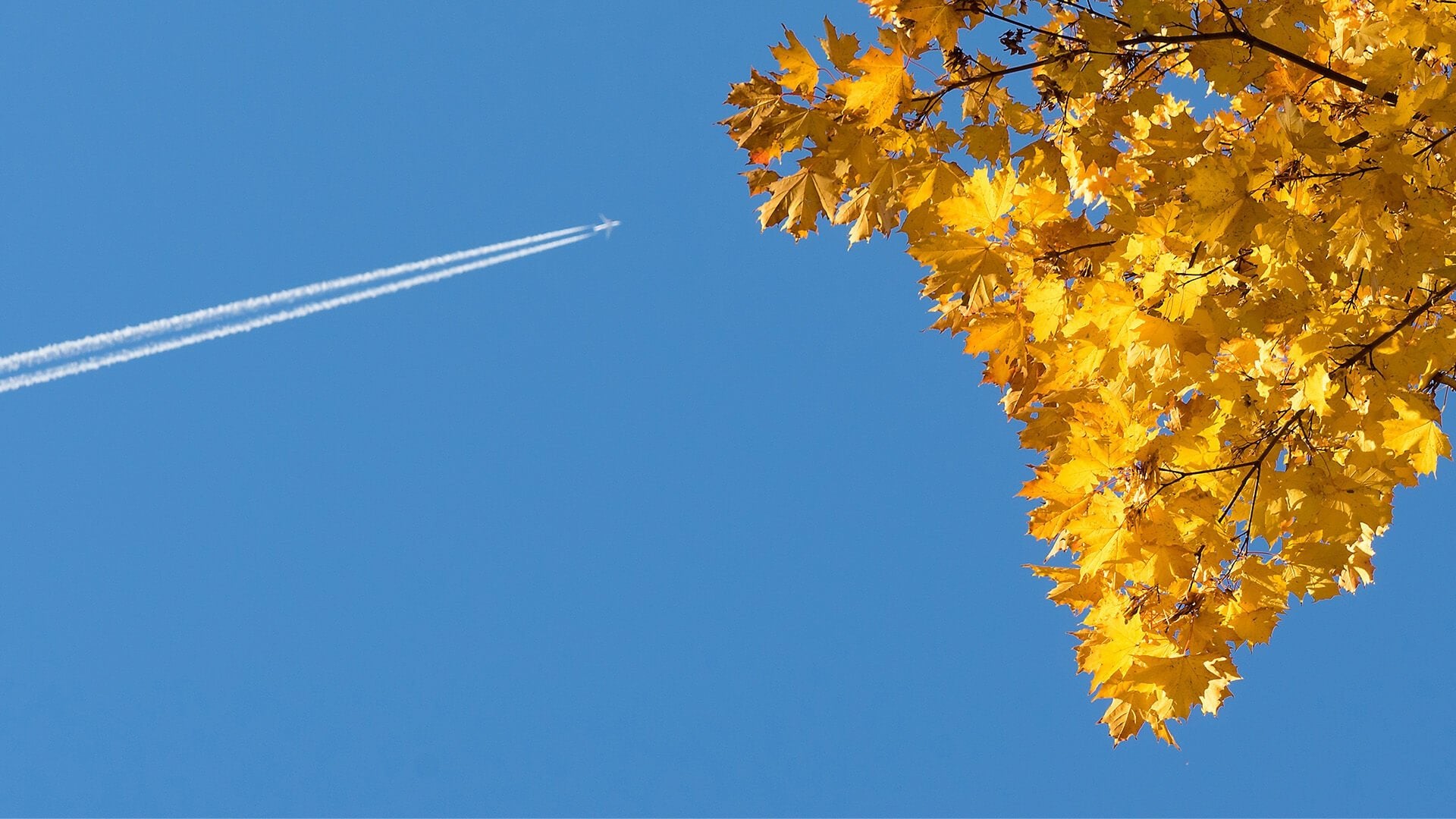 Crisp Air & Fresh Scents: Your Fall Travel Essentials Checklist