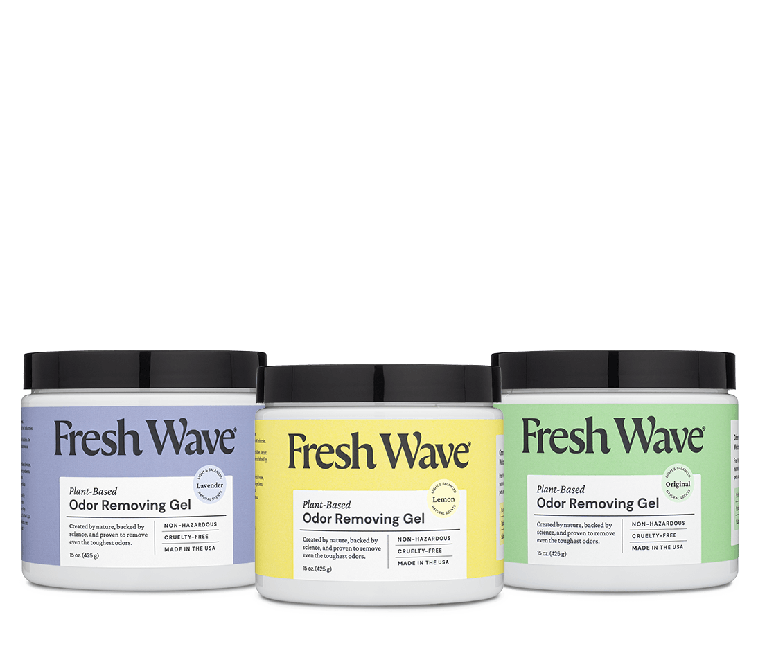 All-Season Odor Solutions for Your Home