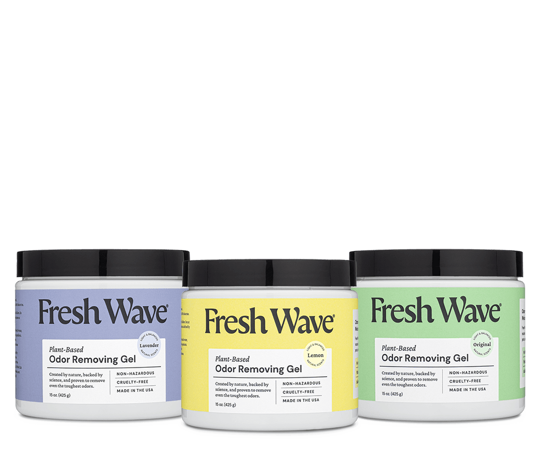 All-Season Odor Solutions for Your Home