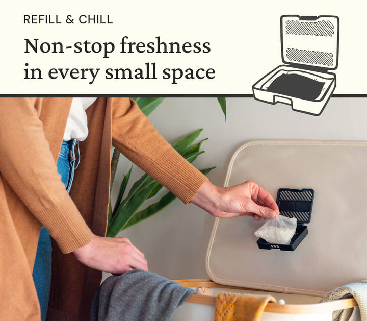 Fresh Pod | Fresh Wave