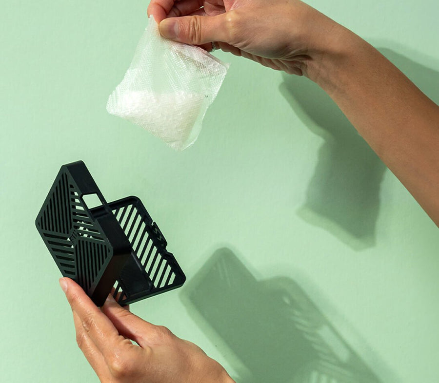 Fresh Pod | Fresh Wave