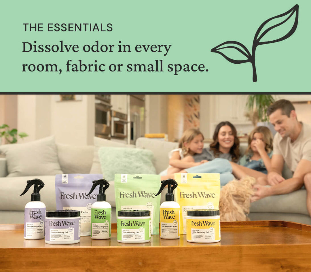 Fresh Home Solutions for Original Scent Lovers