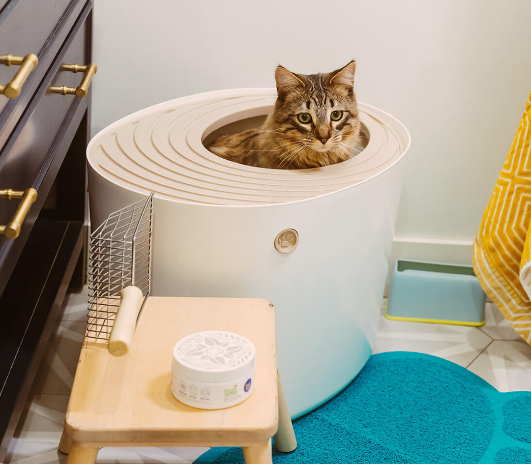 Litter Box Gel